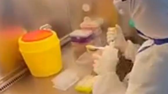 香港对新冠肺炎患者宠物狗进行测试,结果呈弱阳性反应