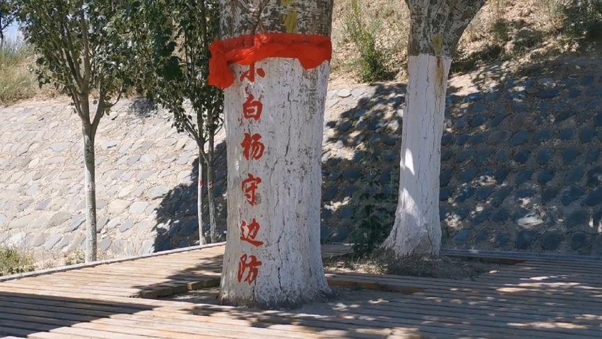 新疆小白杨哨所,我为祖国守边防