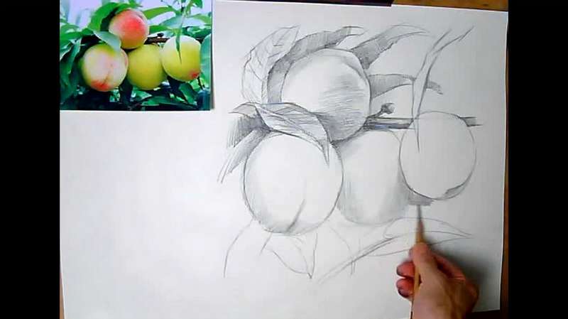素描初学者入门,这个教程必看!各种技巧法教学,一步一步教会你