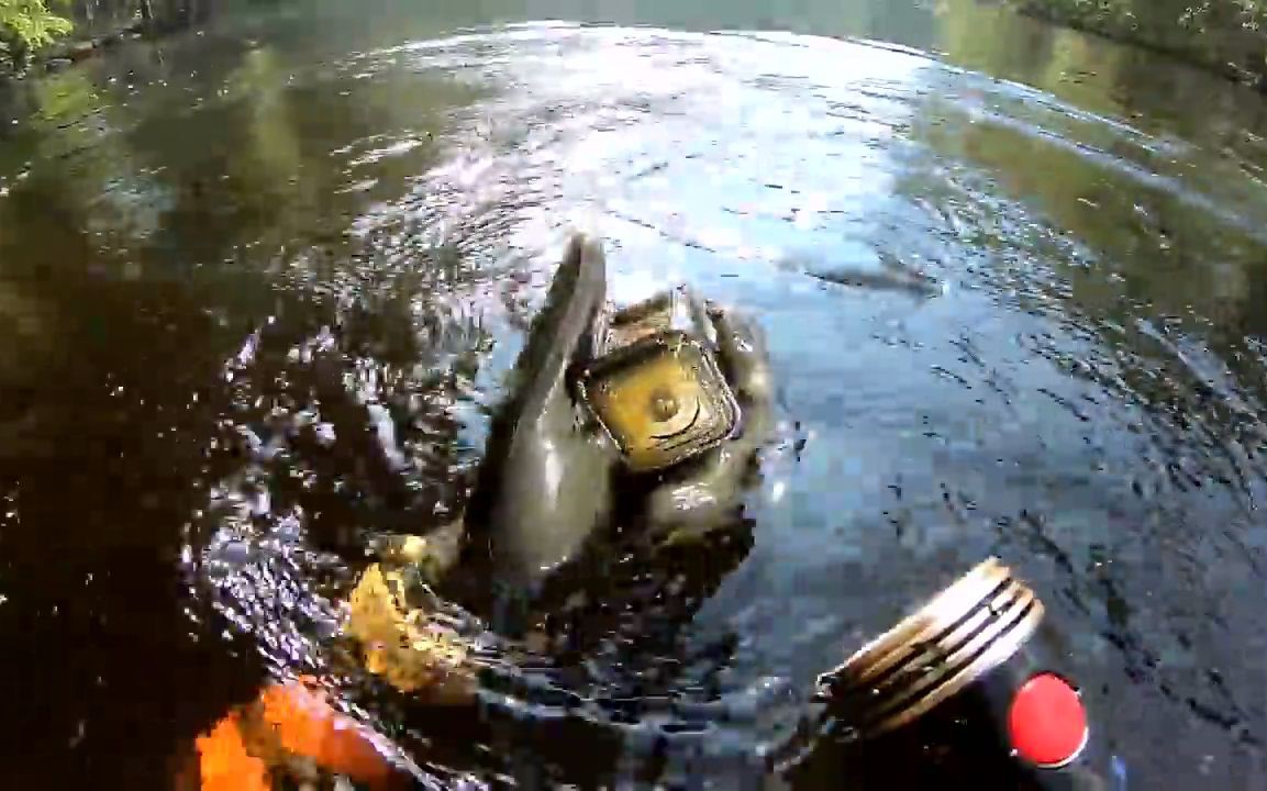 在探索水下的时候发现了Gopro!