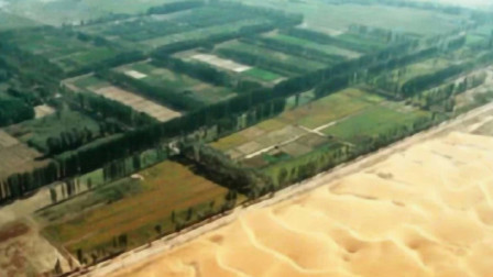 假如地球上的沙漠都变成森林,会有什么后果?听听科学家怎么说