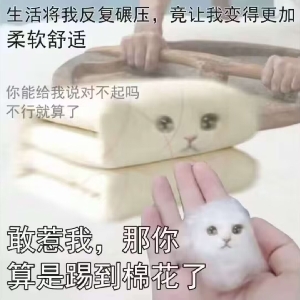 一般路过玩家 