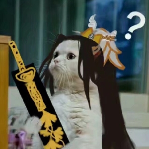 苏远不在 