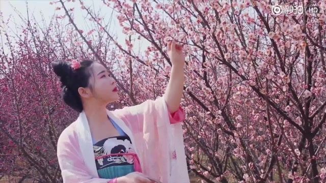 汉服少女——梅花朵朵花开淡墨痕