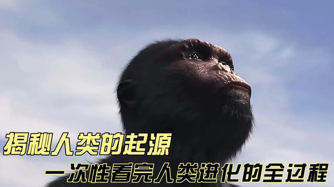 揭秘人类的起源,一次性看完人类进化的全过程。