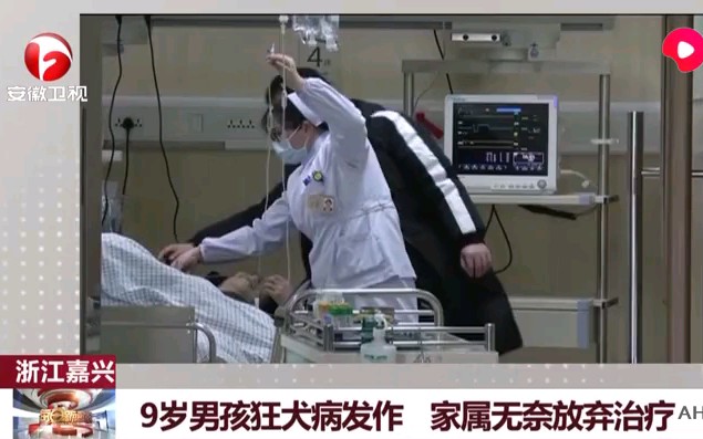 9岁男孩被狗咬狂犬病发作,家属无奈放弃治疗