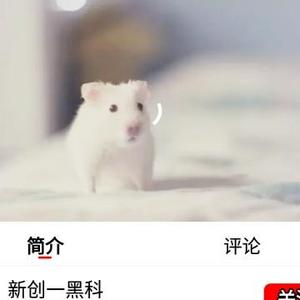小白鼠谁都不怕 