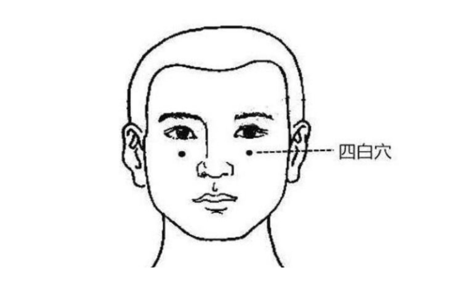 足阳明胃经-四白穴