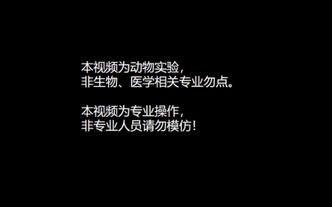 大鼠脑缺血(Mcao)后续