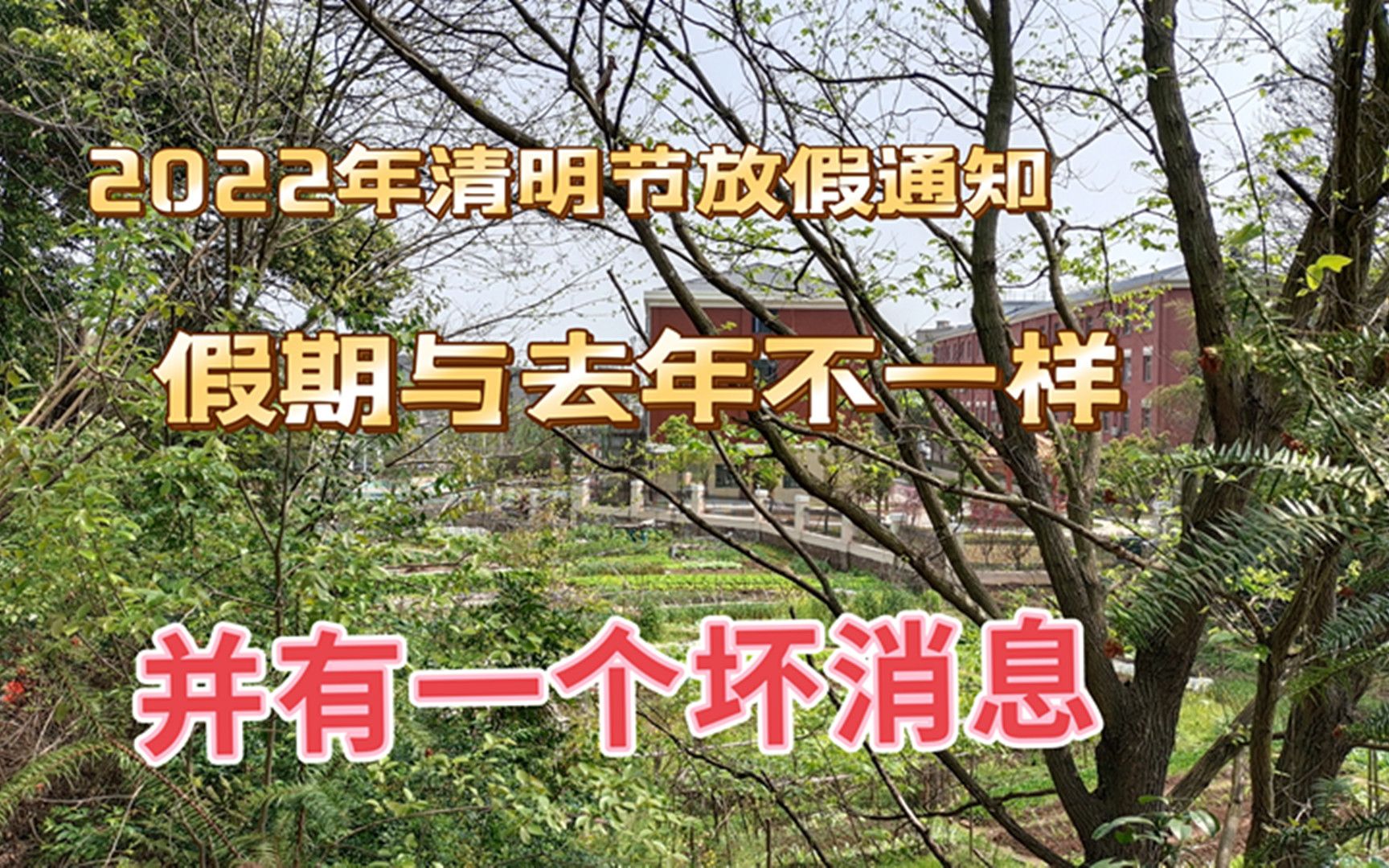 2022年的清明节放假通知安排,与去年不一样,并还有一个坏消息
