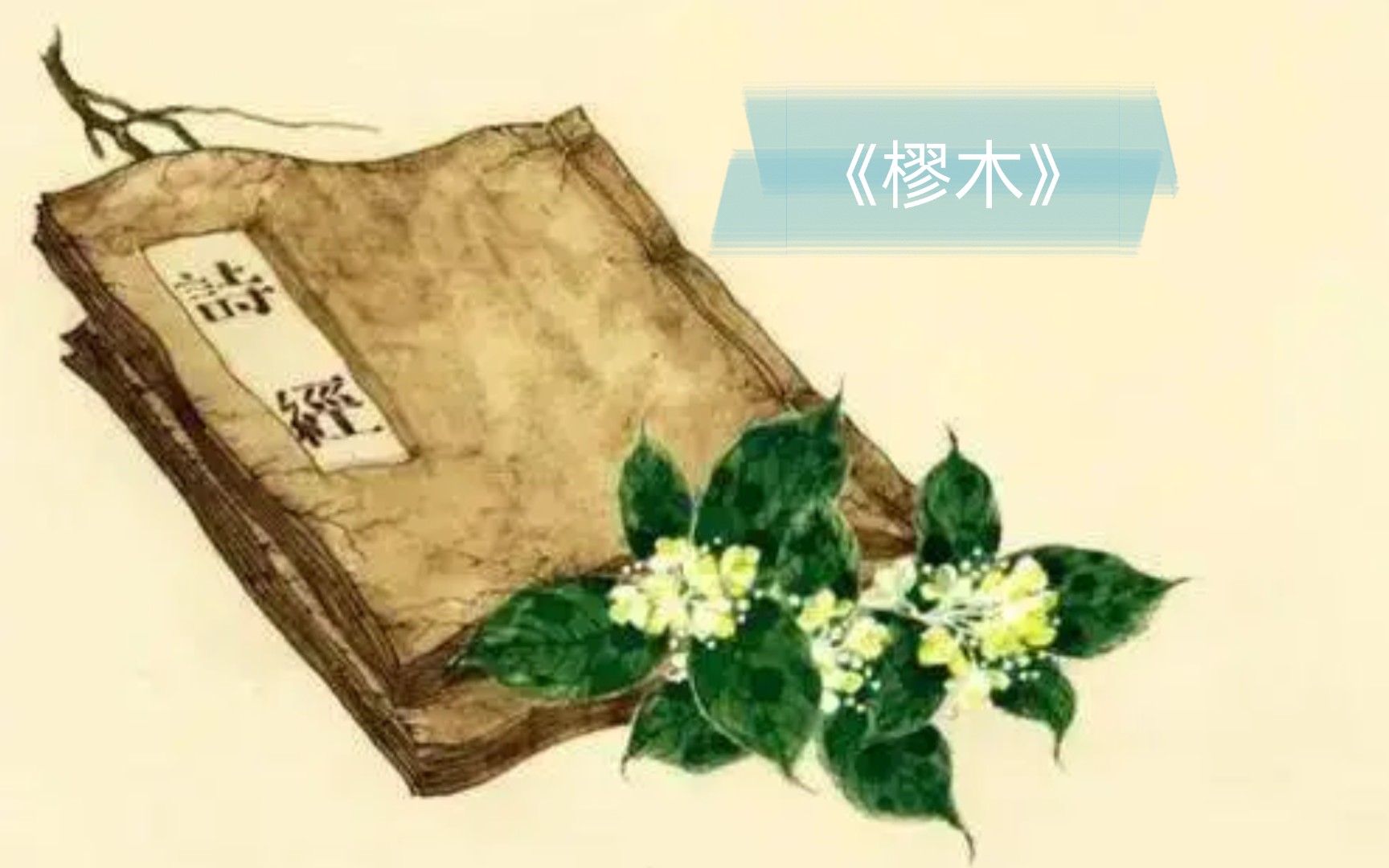 每日《诗经》之《樛木》