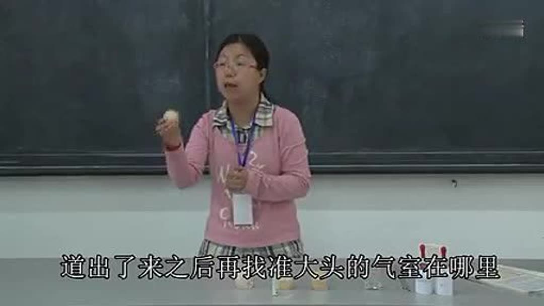 鸡蛋壳膜做淀粉葡萄糖和Vc透过透析袋的差异张帆