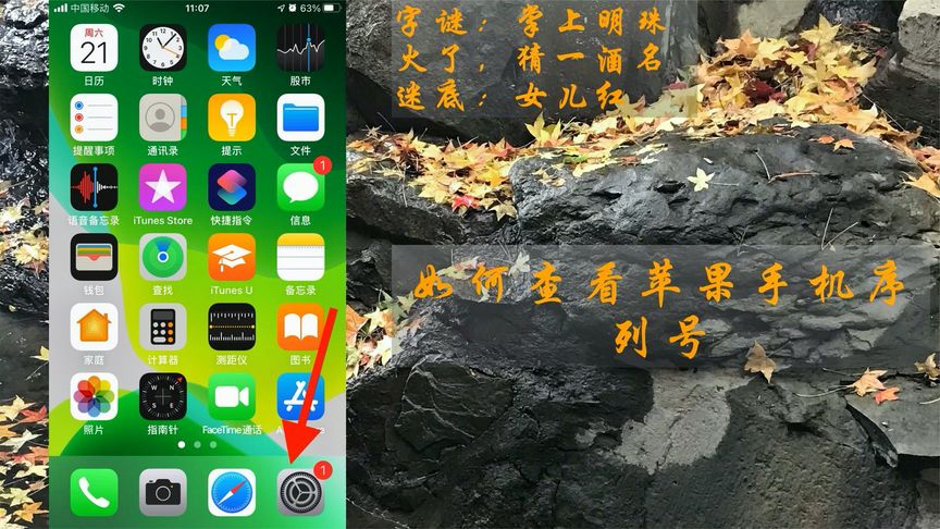 如何查看苹果手机序列号