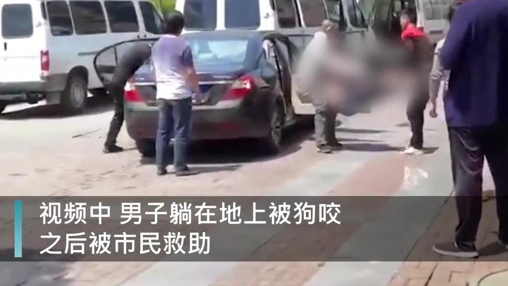 ...狗当街撕咬男子已无大碍】近日,江苏南通一名男子当街被狗撕咬视频...