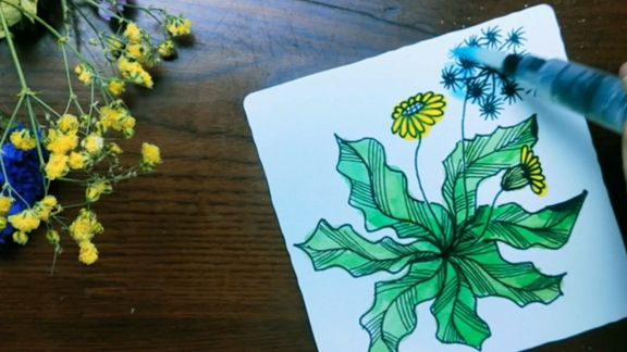 用最简单的方法画线描蒲公英,简单有趣,零基础