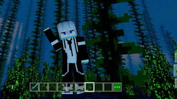 我的世界 动作优化