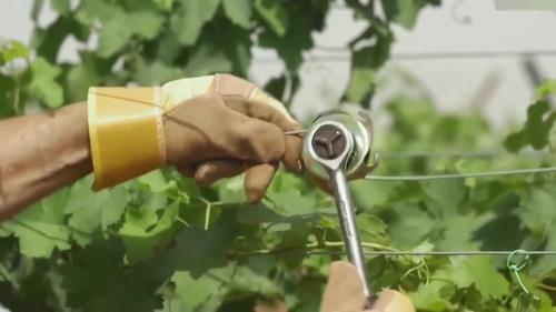 村里发明的钢丝拉紧器,用它把松动的钢丝转两圈就紧了