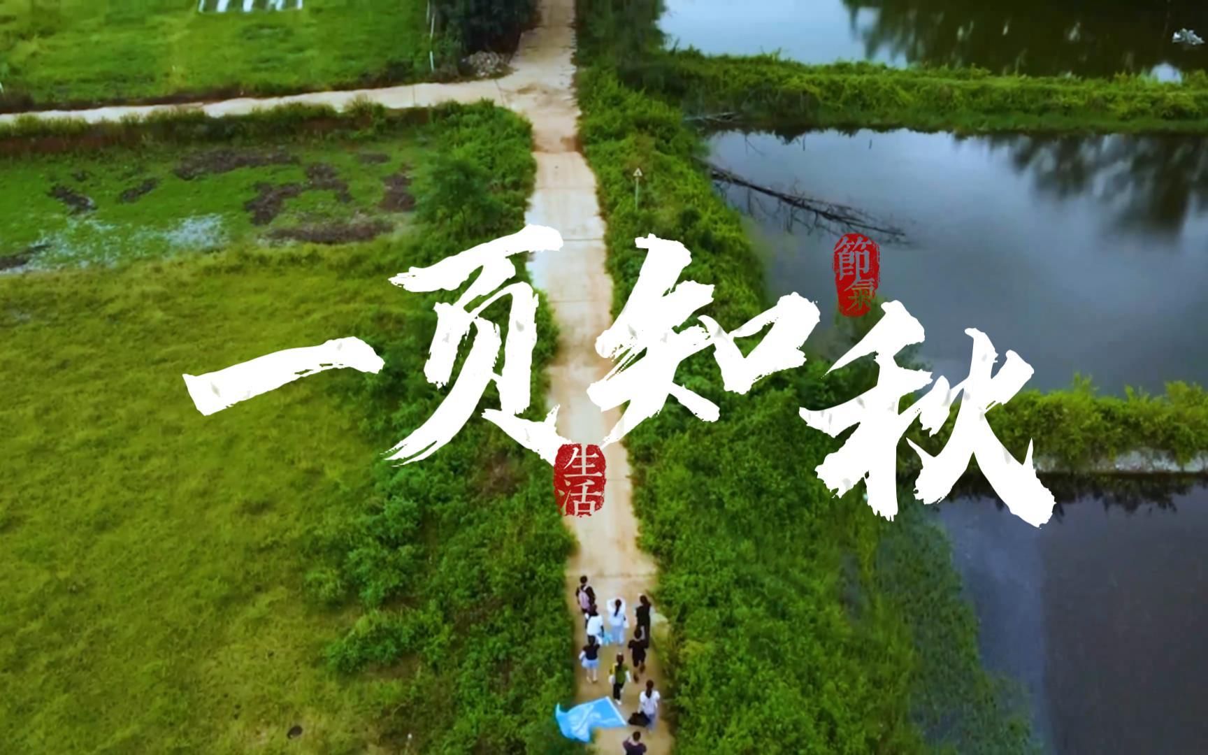 ...一起,"乡"约盛夏》| 广东技术师范大学“一页知秋”团队暑期社会实践