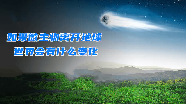 如果所有的微生物都离开地球,世界会发生什么变化?
