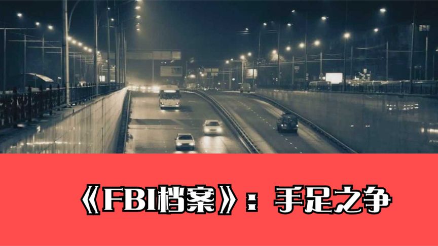 《FBI档案》:手足之争