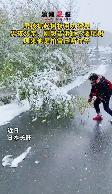 孩子用力摇晃树枝,父亲刚想去提醒他不要玩树,真相却让人感动~