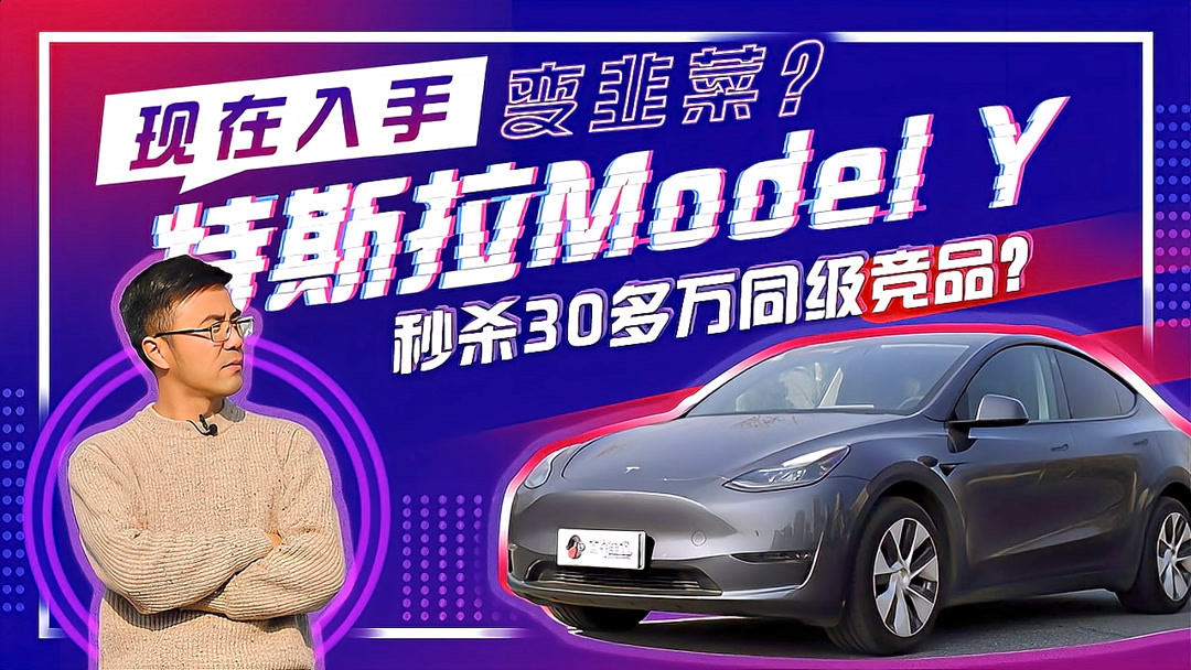 特斯拉Model Y:现在入手会变韭菜吗30多万有哪些电动车可以备选