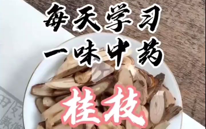 ...中医师承每天学习一味中药《桂枝》有解除肌和四肢风寒,温通经络作用