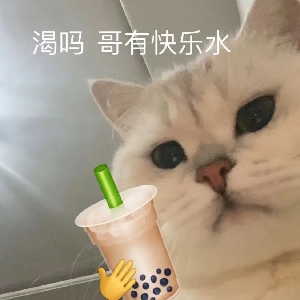 cold的小肉丸 