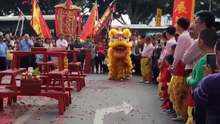 开业醒狮点睛_醒狮表演_舞狮表演13610155385