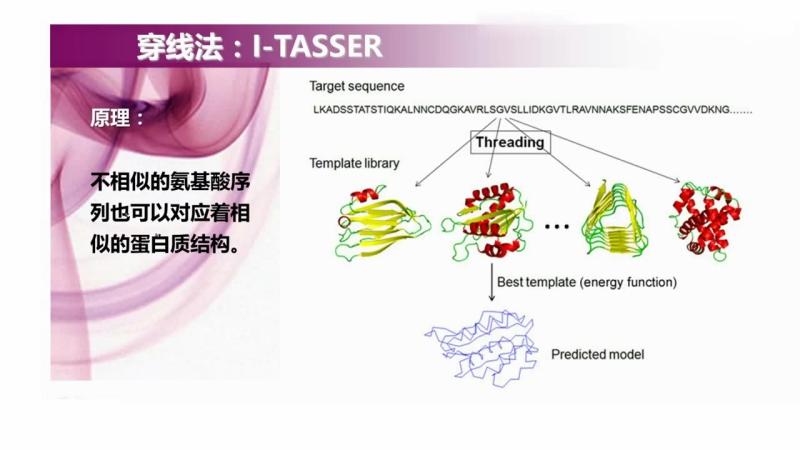 大学生物信息学:第82讲,计算方法预测三级结构3