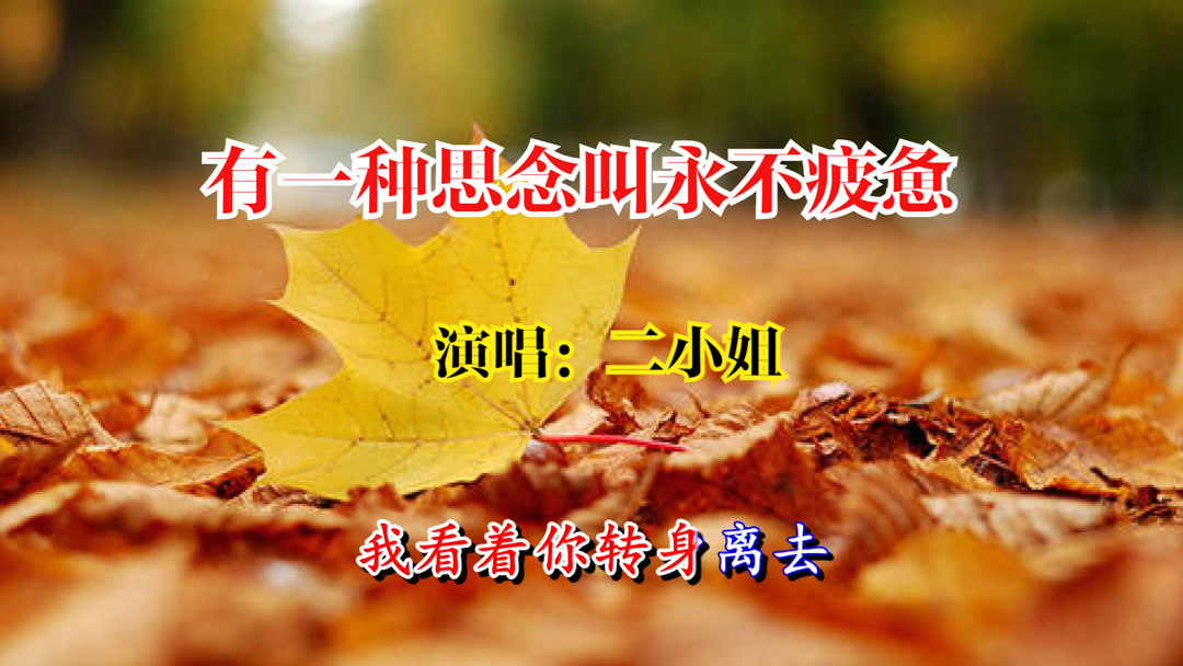 我看着你转身离去。任凭眼泪在雨中纷飞《有一种思念叫永不疲惫》