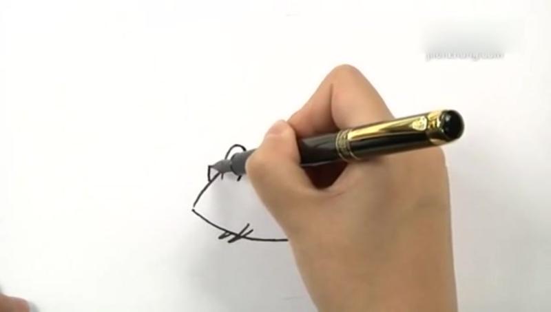 简笔画大全幼儿画画教学儿童绘画基础教程老鼠