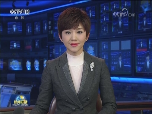 ...中国共产党第十九届中央纪律检查委员会第三次全体会议上的工作报告