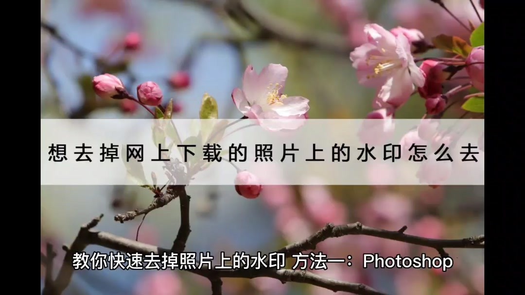 想去掉网上下载的照片上的水印怎么去?不如用这个