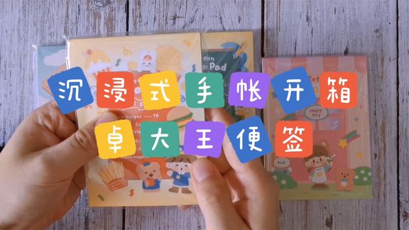 沉浸式手帐开箱,卓大王又出新款便签啦,一起来拆拆看吧