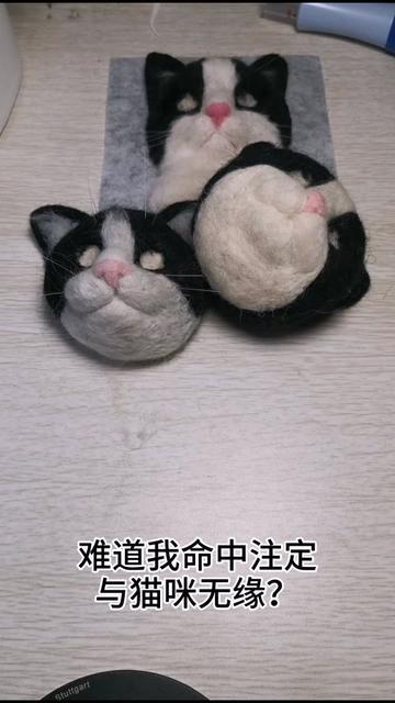 手工,猫,羊毛毡戳,太难了,羊毛毡