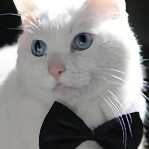 光明之天下大同 