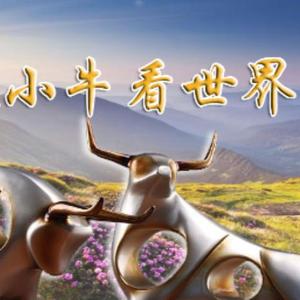 超小牛看世界 