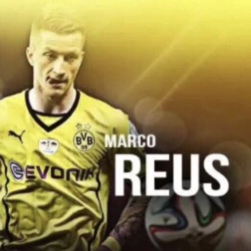 BVB11-REUS 