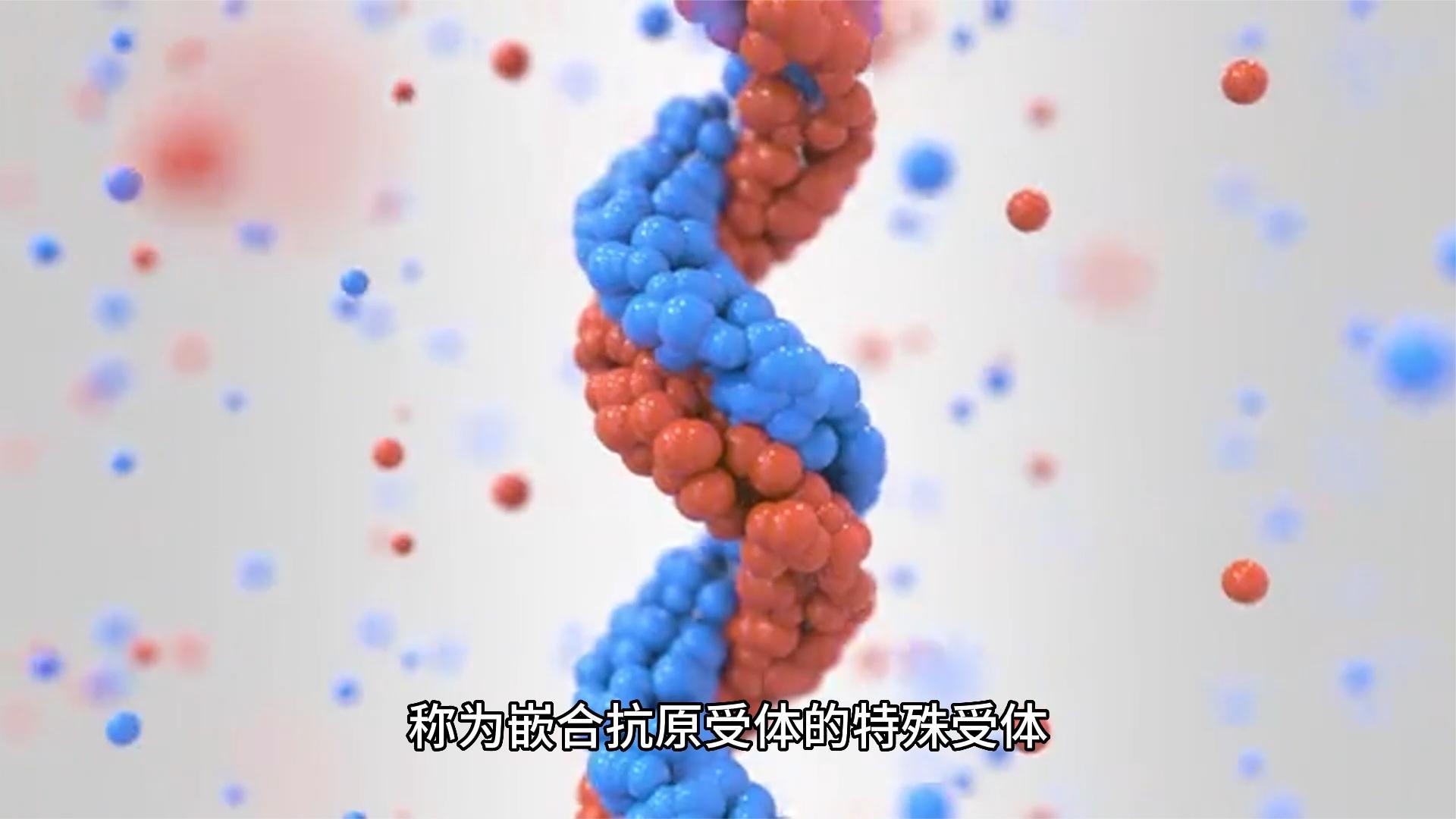胃癌晚期,术后接受多次化疗,CAR-T细胞治疗改善预后