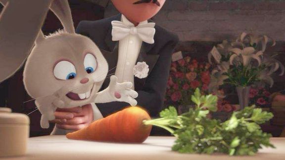 有这样一只萌宠,老板也是醉了,皮克斯动画继续发