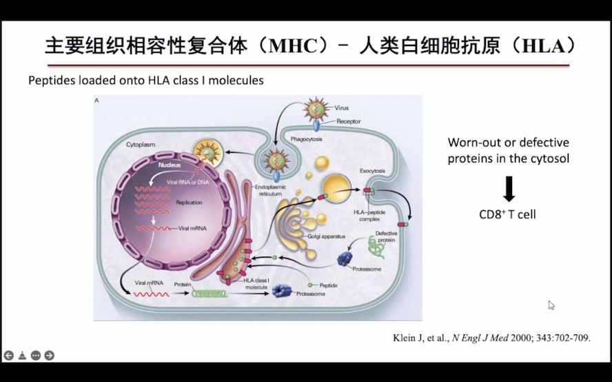 Pacbio在线研讨会-靶向单倍型组装实现精准解析MHC区域等位基因...