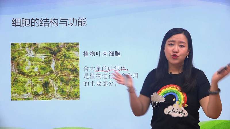翟思茗-高中生物必修1-细胞的多样性与统一性