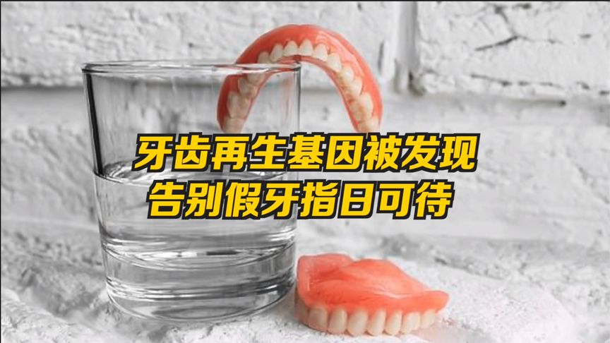 科学家发现控制牙齿再生基因 告别假牙指日可待