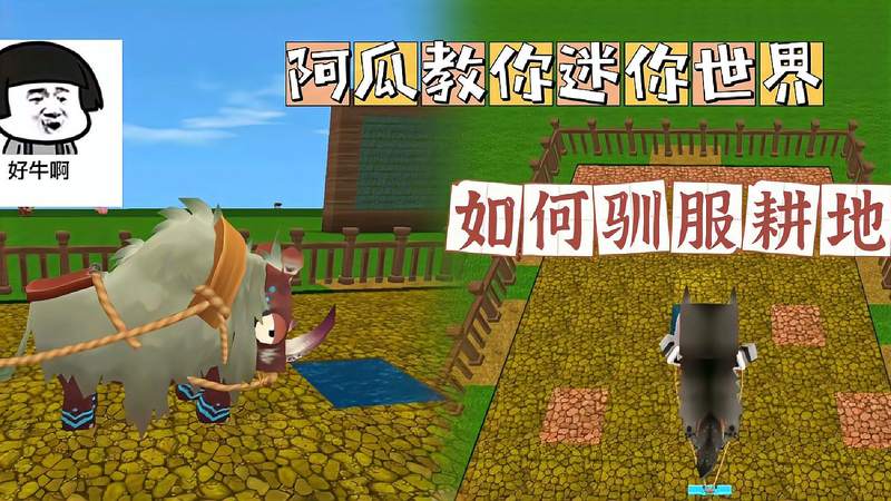 迷你世界如何驯服牛为我们耕地