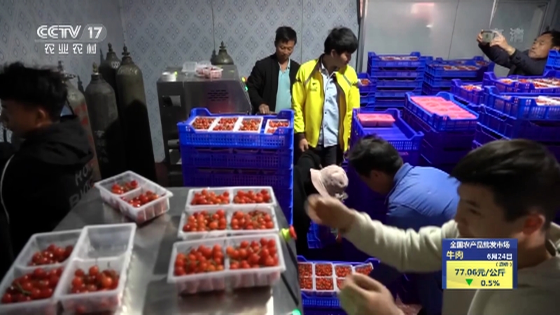 [中国三农报道]17部门印发《意见》 加强县域商业体系建设 促进农村...