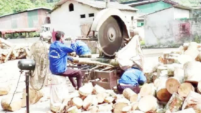 一次性筷子工厂实拍,难怪那么便宜,原来是这样生产的