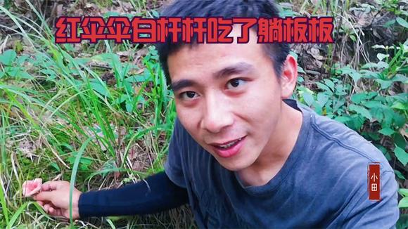 红伞伞白杆杆这个歌太上头,小田也上山踩起了蘑菇,满满一大篮子