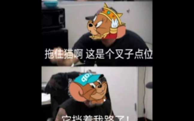 猫和老鼠搞笑图片——