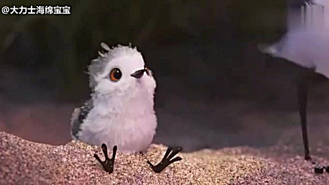 六分钟的暖心无声动画